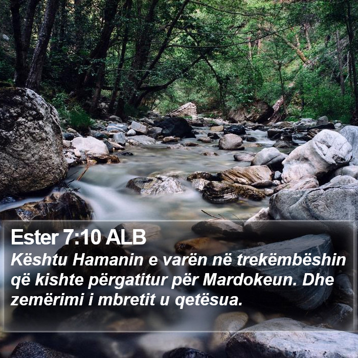 Ester 7 Bible Images - Ester Chapter 7 ALB Bible Verse Pictures