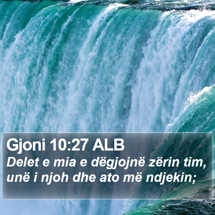 Gjoni 10:27 ALB - Delet e mia e dëgjojnë zërin tim, unë i njoh