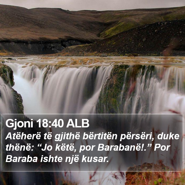 Gjoni 18:40 ALB - Atëherë të gjithë bërtitën përsëri, duke