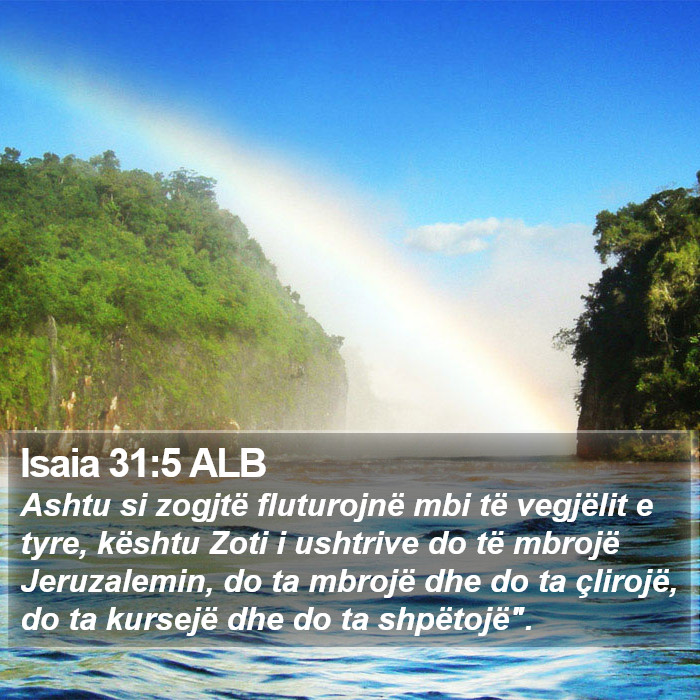 Isaia 31:5 ALB - Ashtu si zogjtë fluturojnë mbi të vegjëlit e