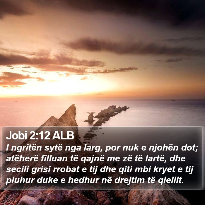 Jobi 2:12 ALB - I ngritën sytë nga larg, por nuk e njohën dot;