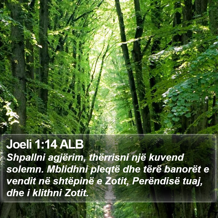 Joeli 1:14 ALB - Shpallni agjërim, thërrisni një kuvend solemn.