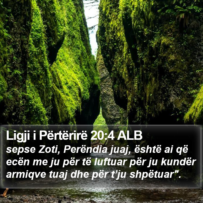 Ligji i Përtërirë 20:4 ALB - sepse Zoti, Perëndia juaj, është ai që ecën