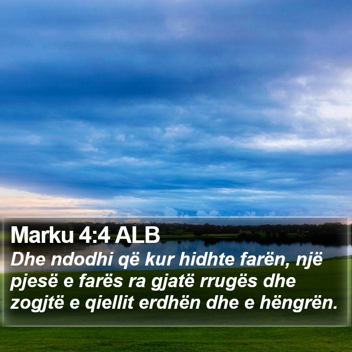 Marku 4:4 ALB - Dhe ndodhi që kur hidhte farën, një pjesë e