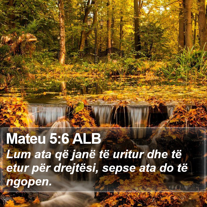 Mateu 5:6 ALB - Lum ata që janë të uritur dhe të etur për