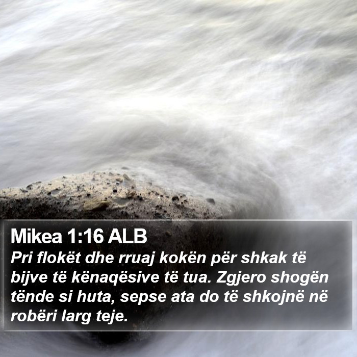 Mikea 1 Bible Images - Mikea Chapter 1 ALB Bible Verse Pictures