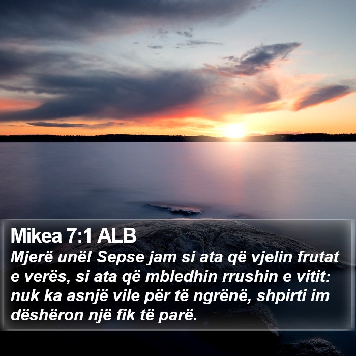 Mikea 7:1 ALB - Mjerë unë! Sepse jam si ata që vjelin frutat e