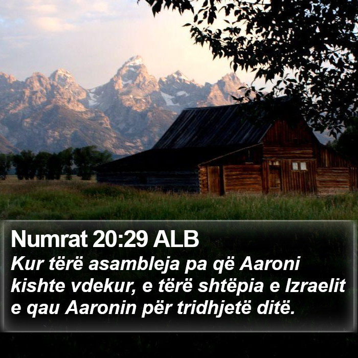 Numrat 20 Bible Images - Numrat Chapter 20 ALB Bible Verse Pictures