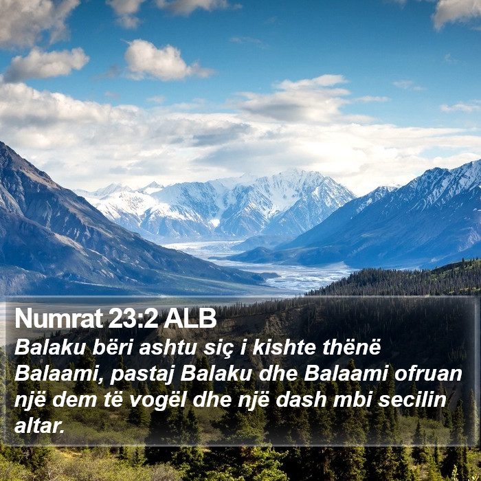 Numrat 23:2 ALB - Balaku bëri ashtu siç i kishte thënë Balaami,