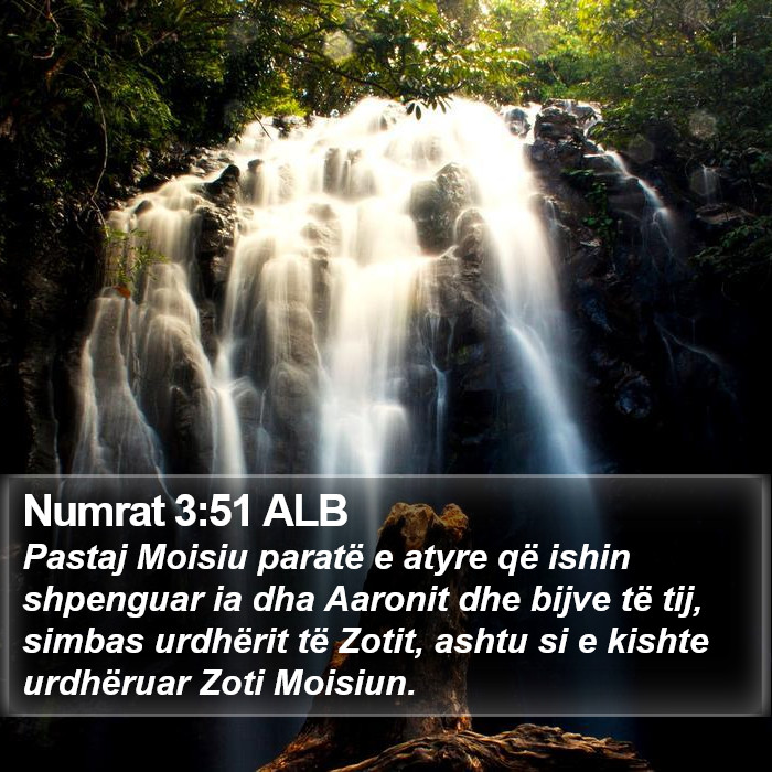 Numrat 3 Bible Images - Numrat Chapter 3 ALB Bible Verse Pictures