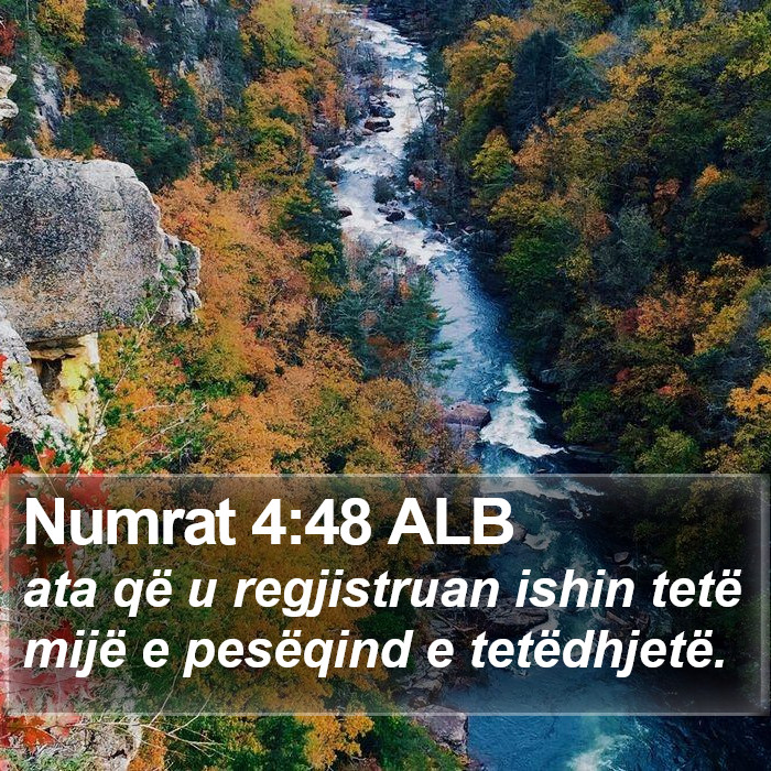 Numrat 4:48 ALB - ata që u regjistruan ishin tetë mijë e