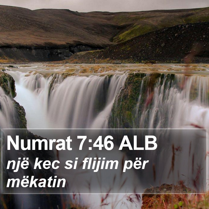 Numrat 7:46 ALB - një kec si flijim për