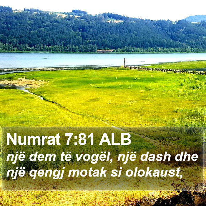 Numrat 7:81 ALB - një dem të vogël, një dash dhe një qengj