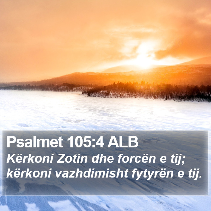 Psalmet 105:4 ALB - Kërkoni Zotin dhe forcën e tij; kërkoni