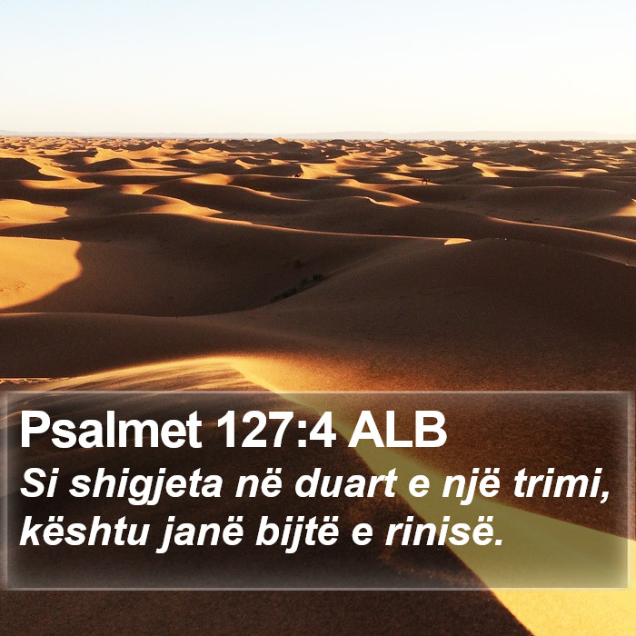 Psalmet 127:4 ALB - Si shigjeta në duart e një trimi, kështu janë