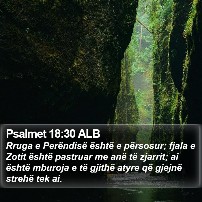 Psalmet 18:30 ALB - Rruga e Perëndisë është e përsosur; fjala e