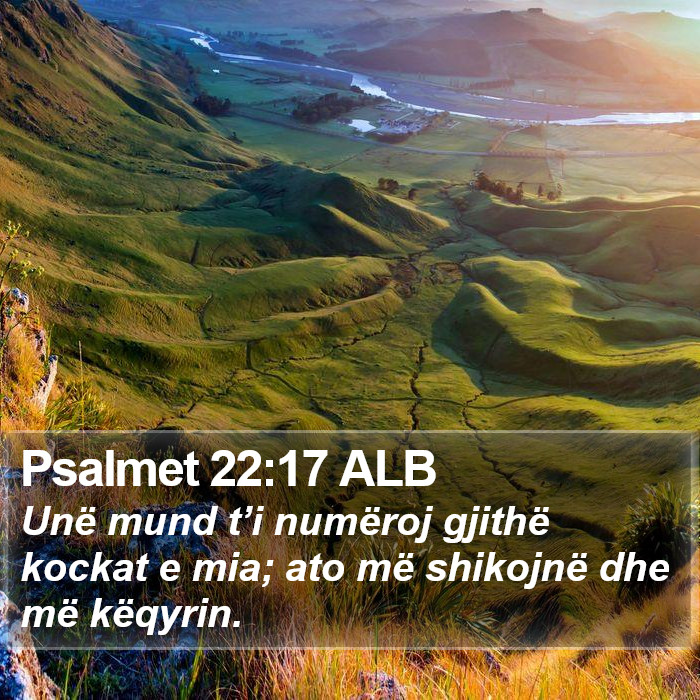 Psalmet 22:17 ALB - Unë mund t’i numëroj gjithë kockat e mia;