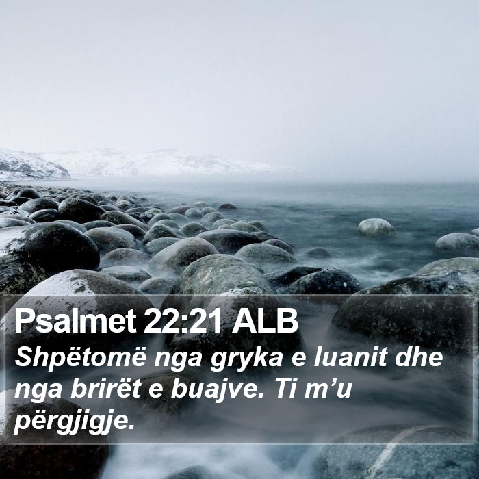 Psalmet 22:21 ALB - Shpëtomë nga gryka e luanit dhe nga brirët e