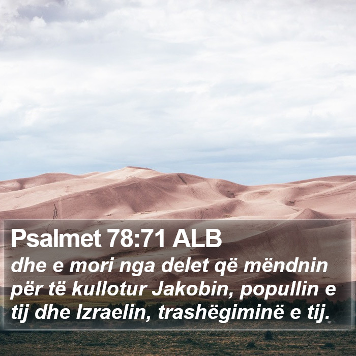 Psalmet 78:71 ALB - dhe e mori nga delet që mëndnin për të
