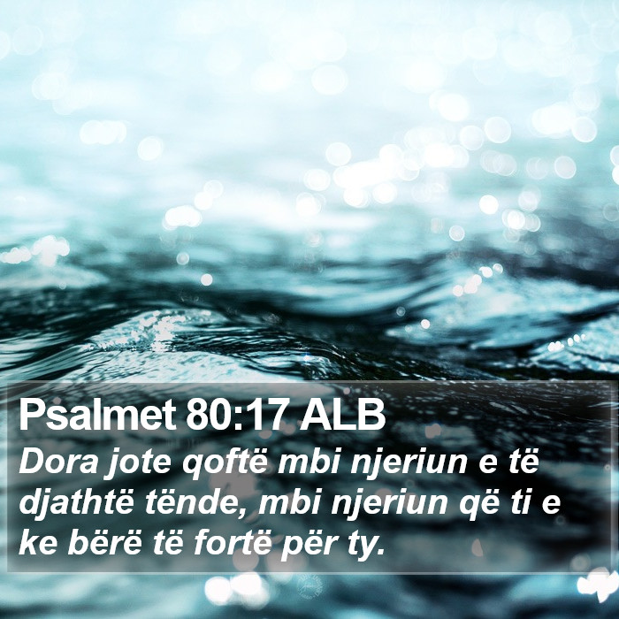 Psalmet 80:17 ALB - Dora jote qoftë mbi njeriun e të djathtë