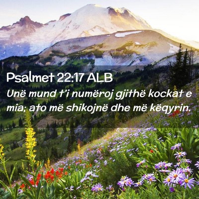 Psalmet 22:17 ALB - Unë mund t’i numëroj gjithë kockat e mia;